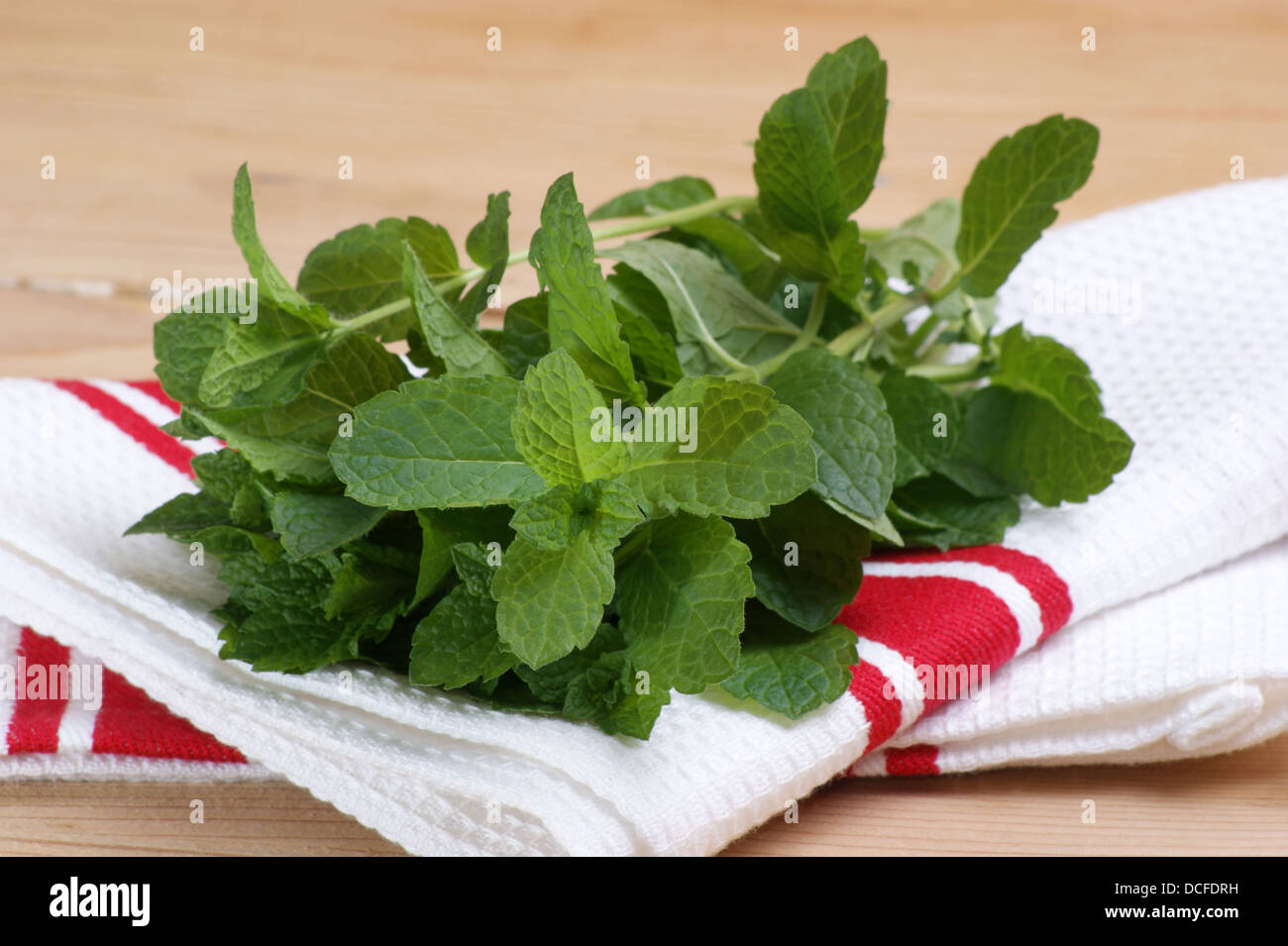 some fresh organic peppermint from the garden Stock Photo - Alamy