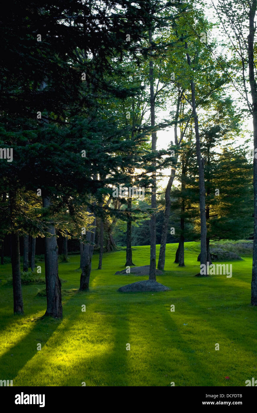 Lawn And Trees Stock Photo - Alamy