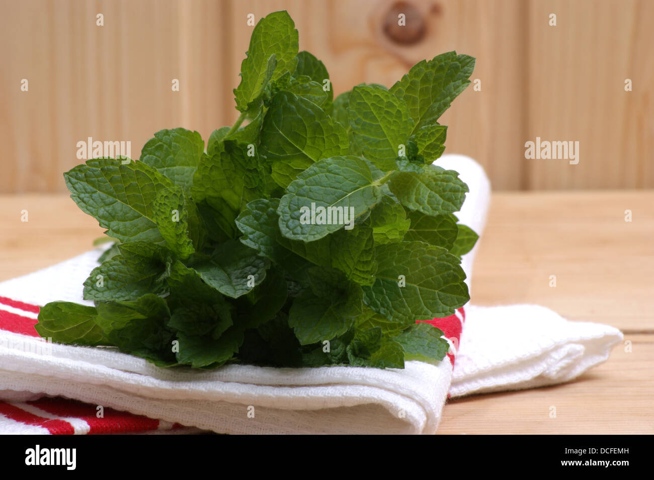 some fresh organic peppermint from the garden Stock Photo - Alamy