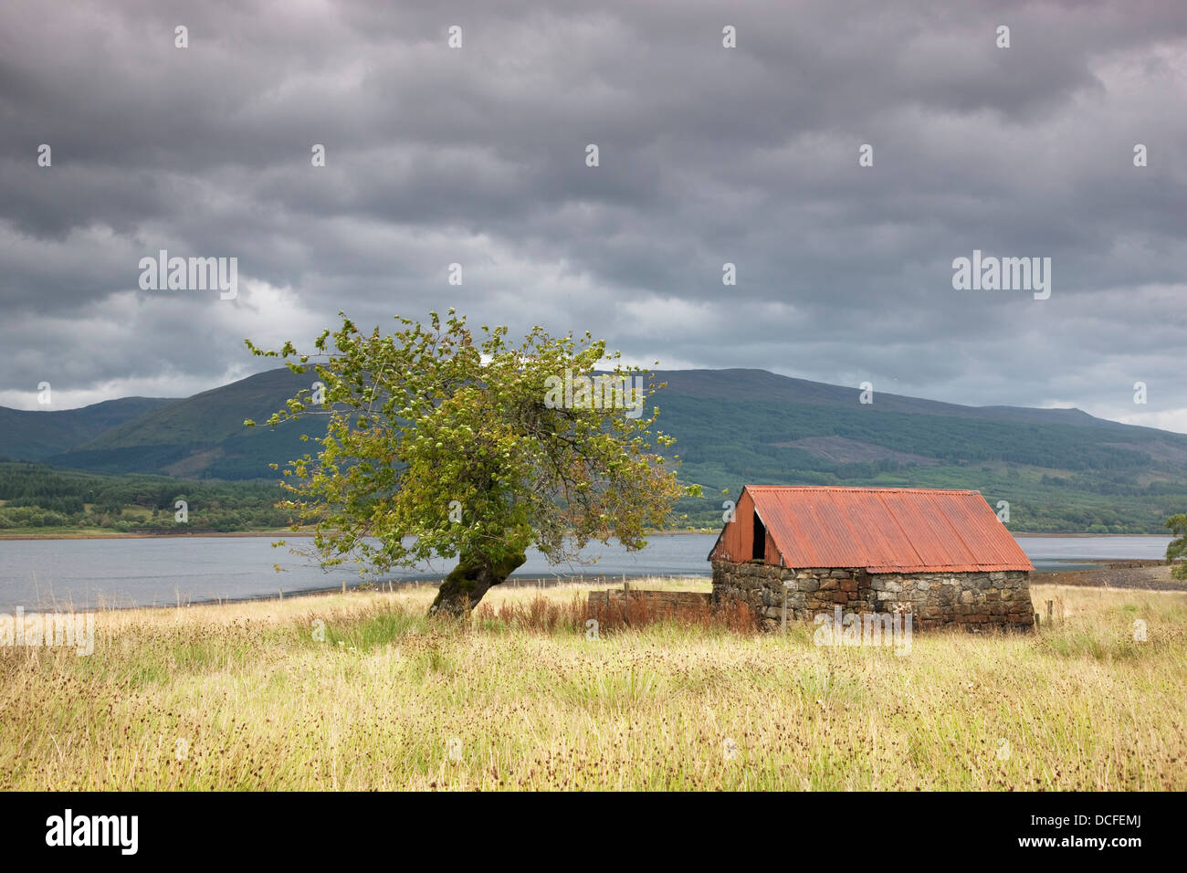 Shack, Highland, Scotland Stock Photo - Alamy