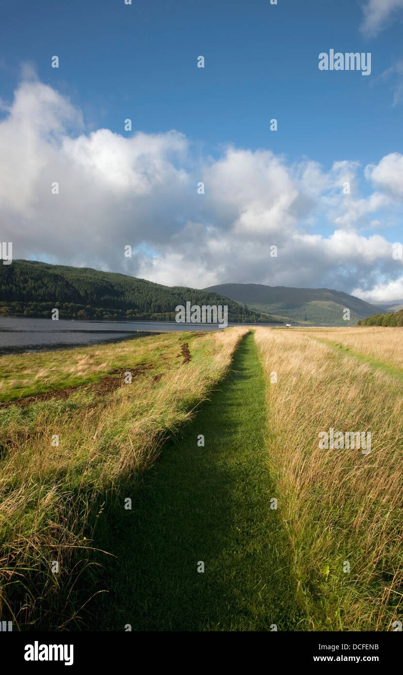 Pathway, Loch Sunart, Highland, Scotland Stock Photo - Alamy