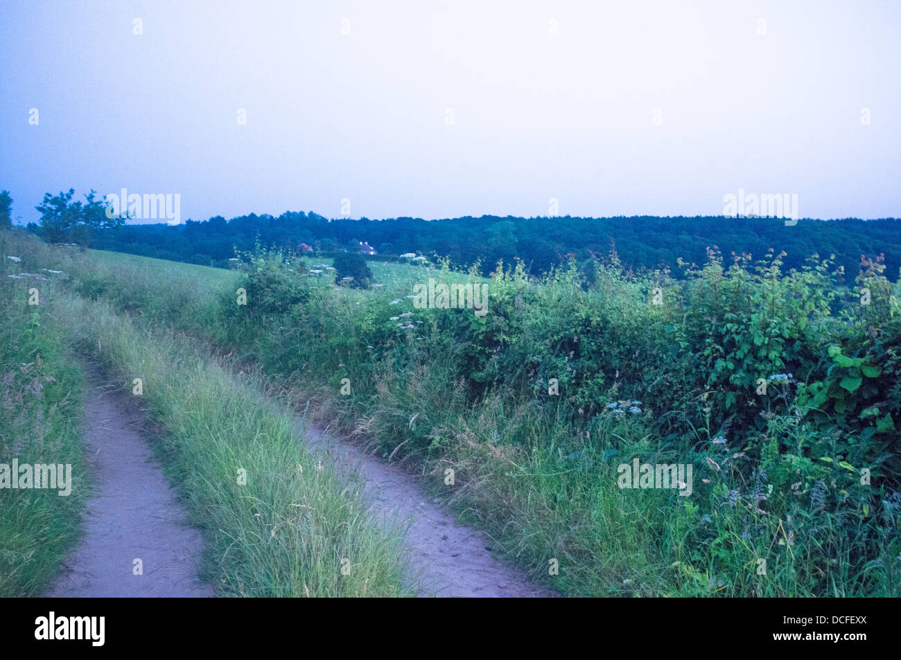 Farm track through fields Stock Photo - Alamy