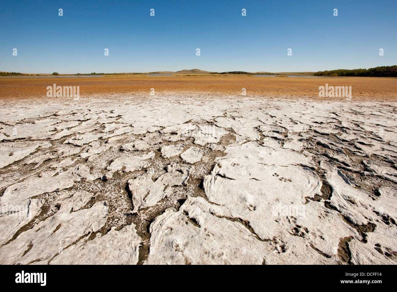 Desert landscape cracked ground hi-res stock photography and images - Alamy