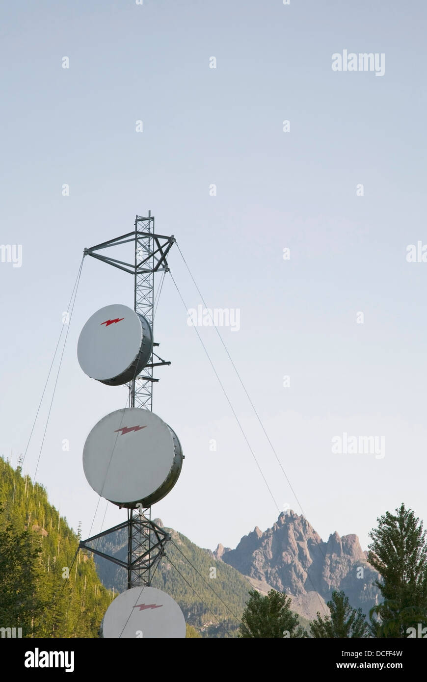 Satellite dish tree hi-res stock photography and images - Alamy