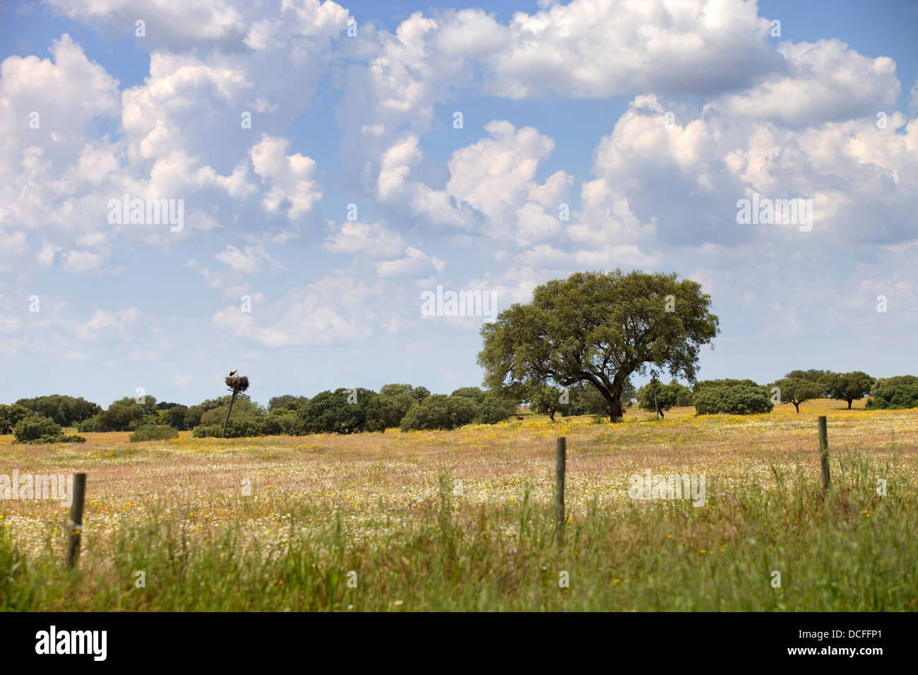 alentejo farm view, in the south of portugal Stock Photo - Alamy