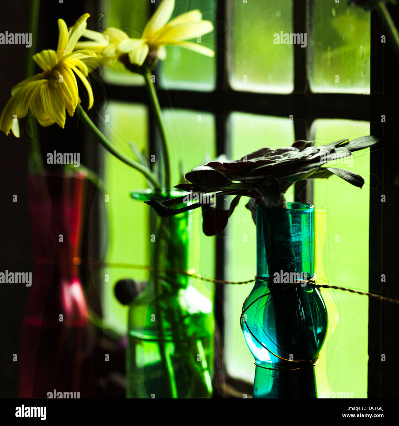 Flowers in coloured vases in a window Stock Photo - Alamy