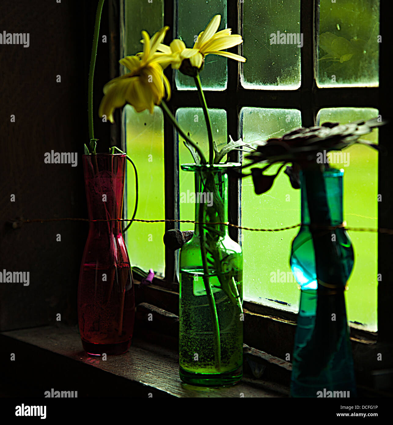Flowers in coloured vases in a window Stock Photo - Alamy