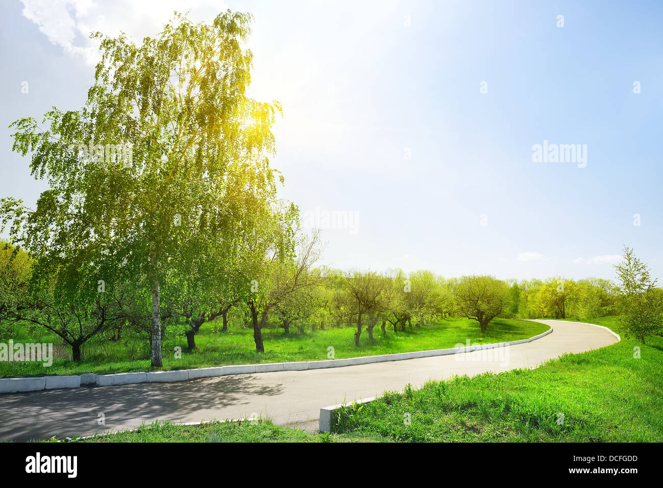 Summer park in bright sunny hi-res stock photography and images - Alamy