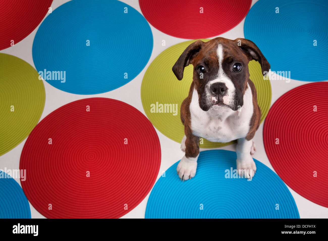 Circular portraits hi-res stock photography and images - Alamy