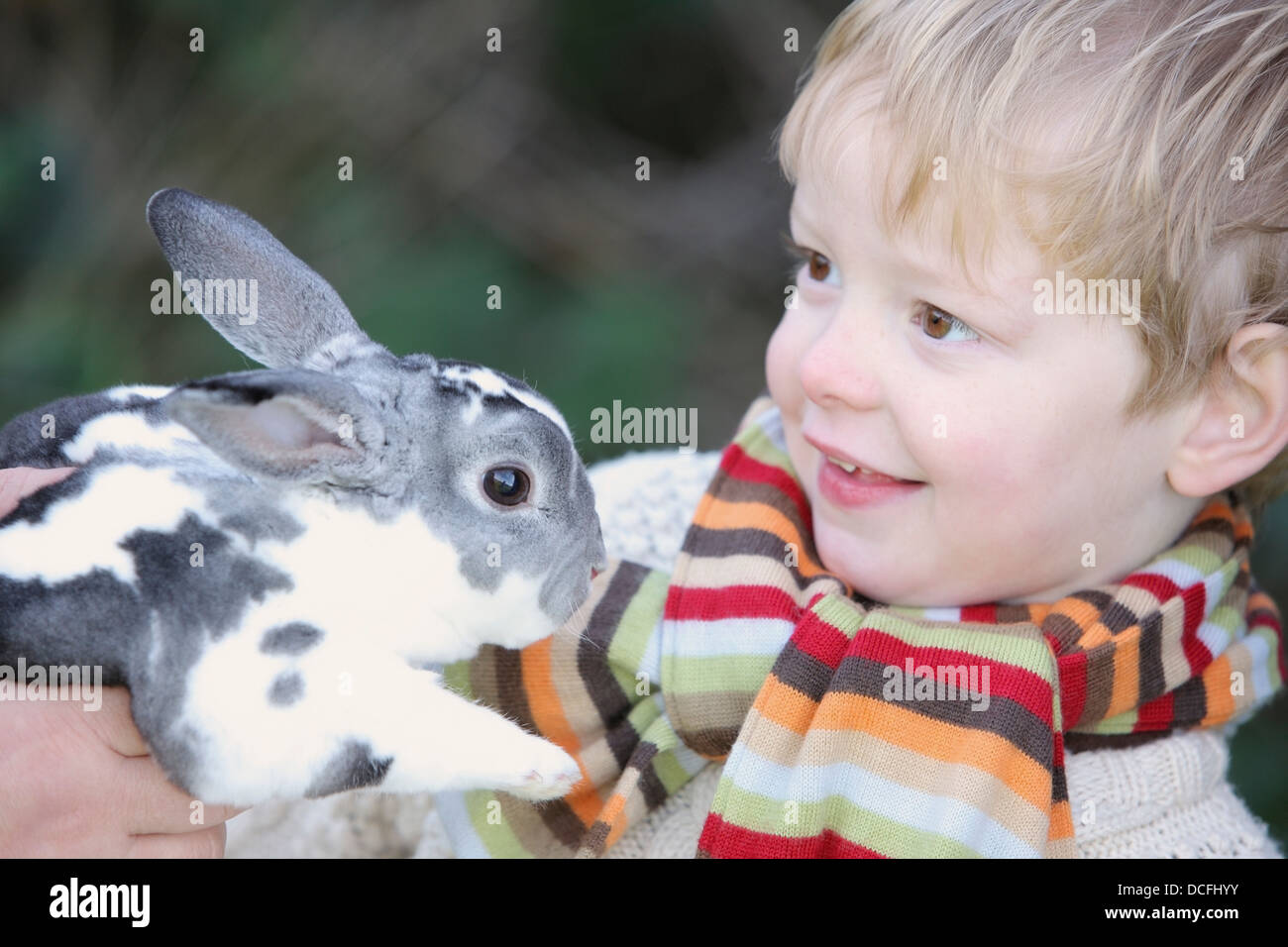 Pet rabbit and boy hi-res stock photography and images - Alamy