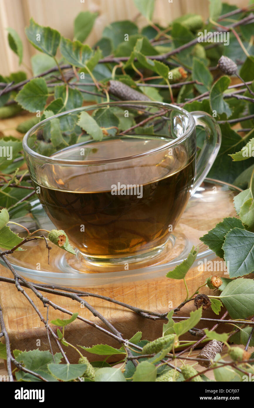 birch leaf tea in a glass cup Stock Photo - Alamy