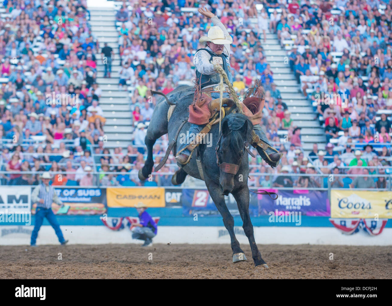 Cowboy Participant in a Bucking Horse Competition at the Reno Rodeo ...