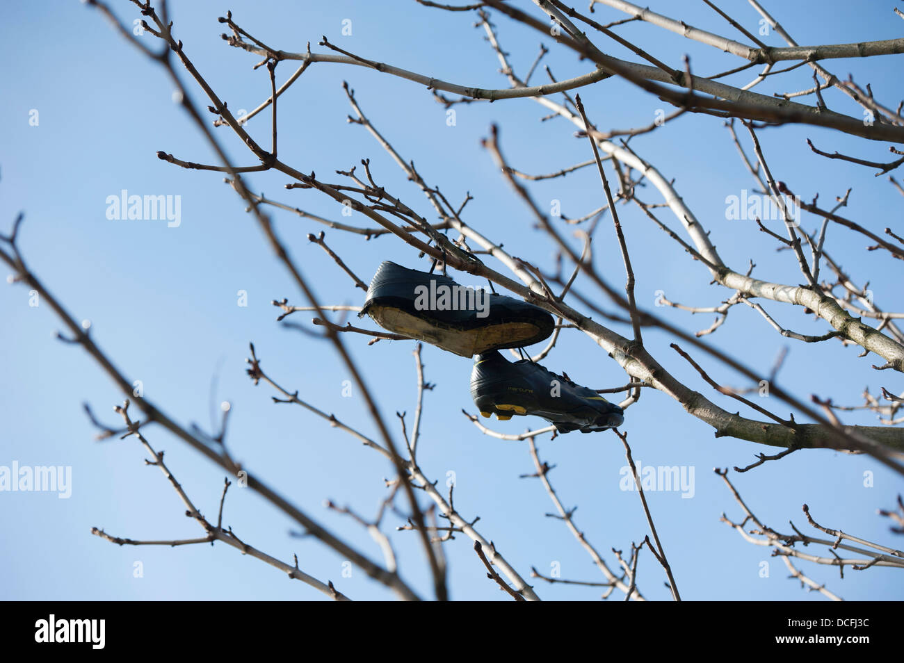 Football boots are pictured in a tree in Burgess Park, London Stock ...