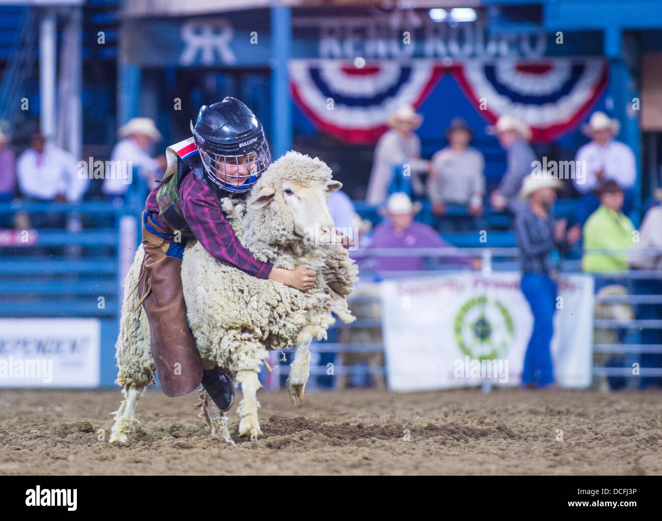 A boy riding on a sheep during a Mutton Busting contest at the Reno ...