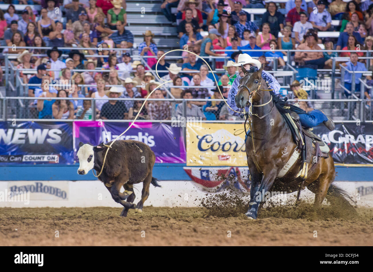 Cowboy Participant in a Calf roping Competition at the Reno Rodeo ...