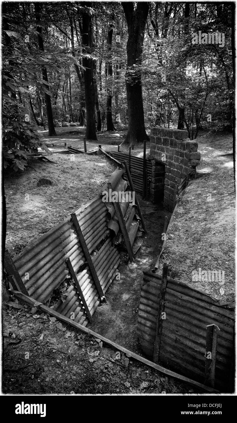 Ww1 trenches hi-res stock photography and images - Alamy