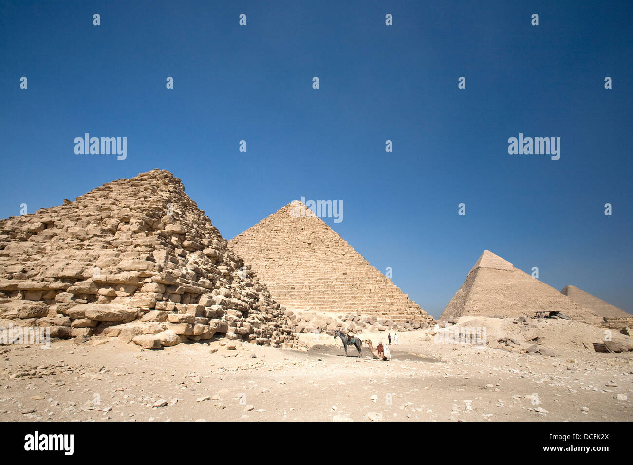 Pyramid menkaure complex horses hi-res stock photography and images - Alamy