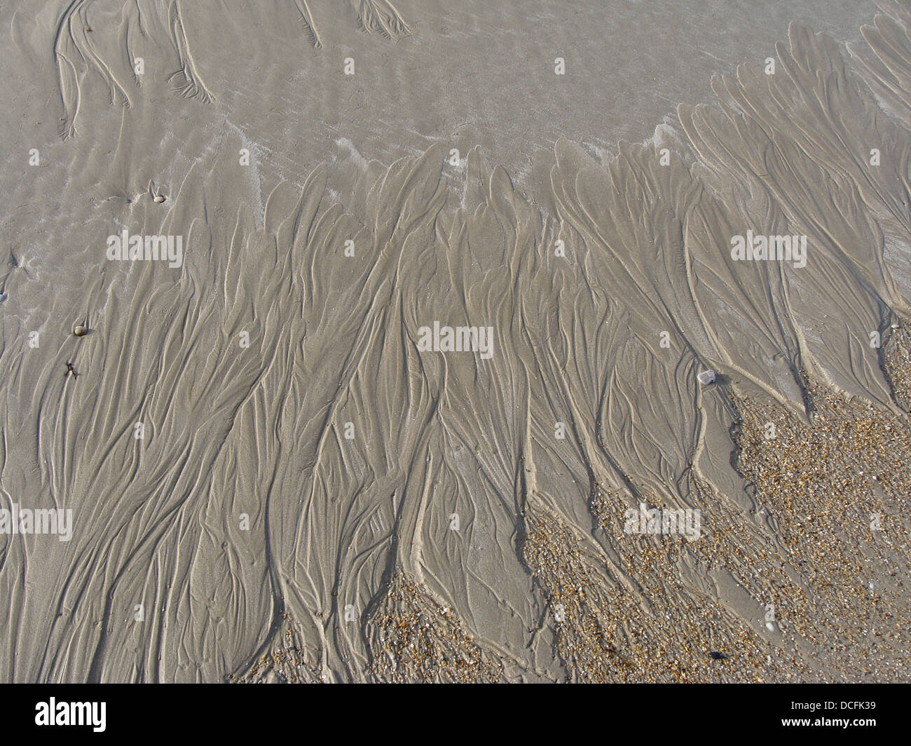 Sand, low tide, Beach of Penthièvre, Saint-Pierre Quiberon, Morbihan ...