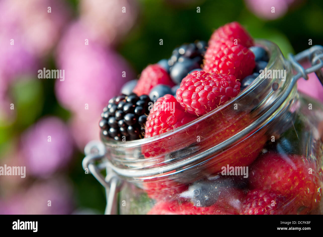 forest fruit outdoor Stock Photo - Alamy