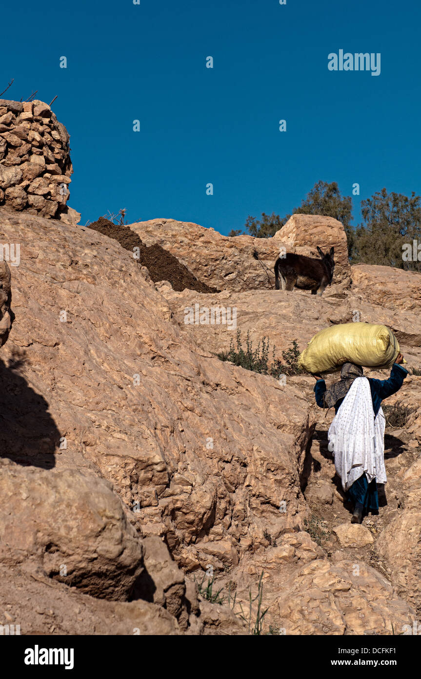 Big package hi-res stock photography and images - Alamy