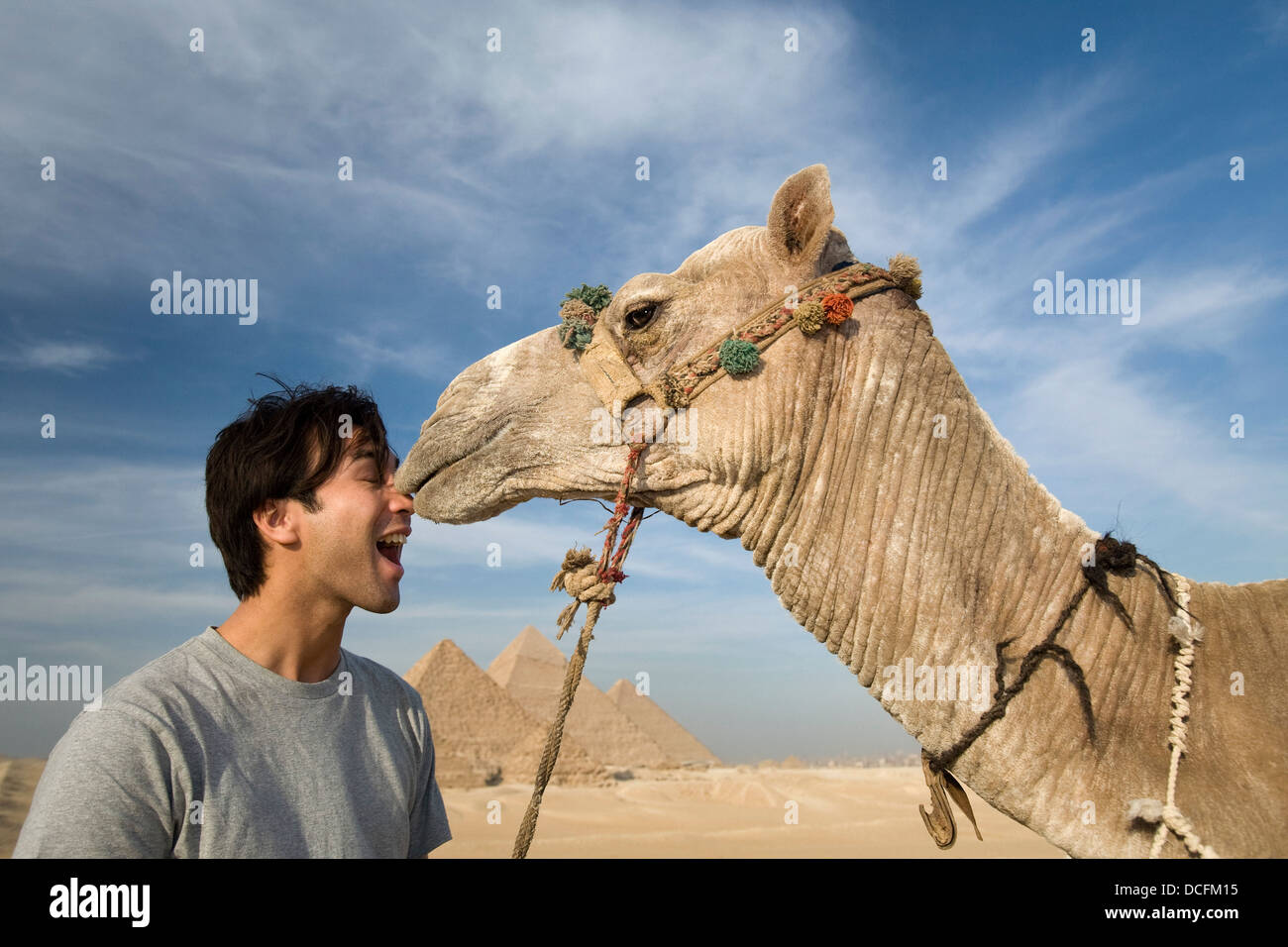 Man kissing camel hi-res stock photography and images - Alamy