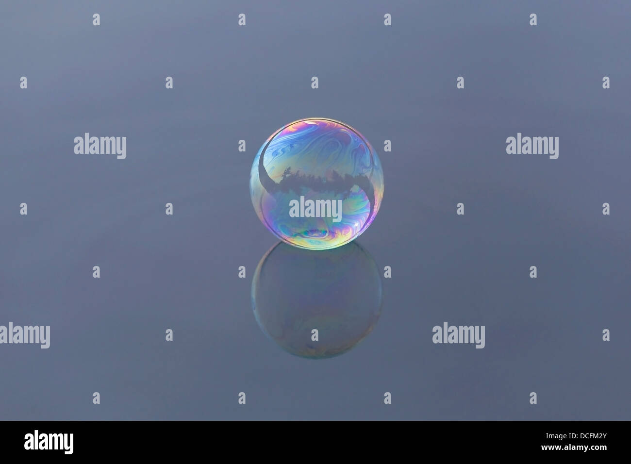 Bubble Floating On Surface Of Water, Ontario, Canada Stock Photo - Alamy