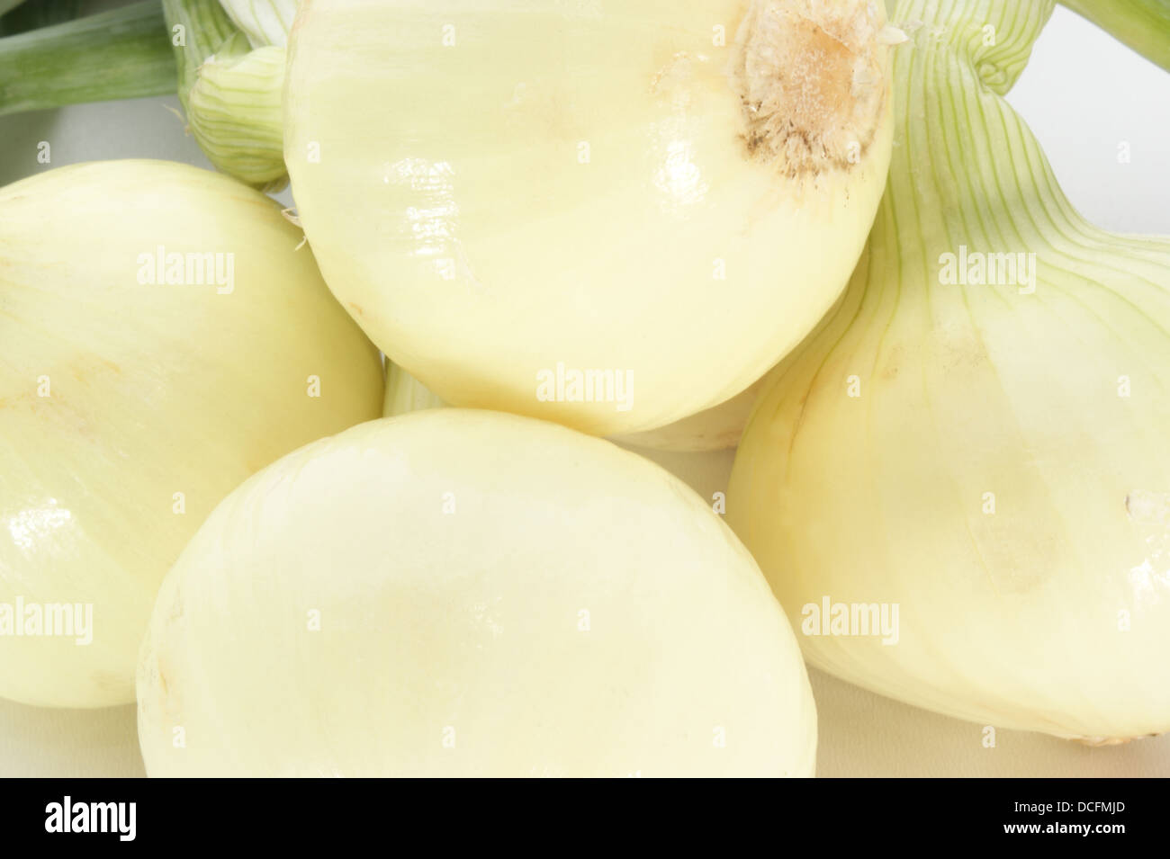 some fresh cleaned white organic vegetable onion Stock Photo - Alamy