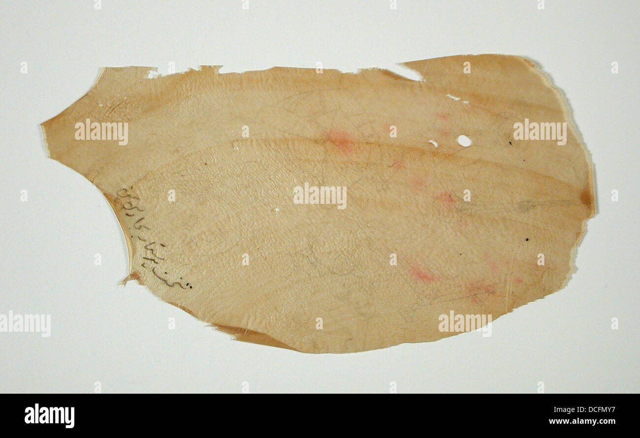 This parchment pounce, part of LACMA's collection, depicts figures ...