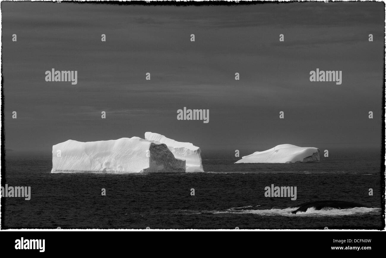 Iceberg, Baffin Bay Stock Photo - Alamy