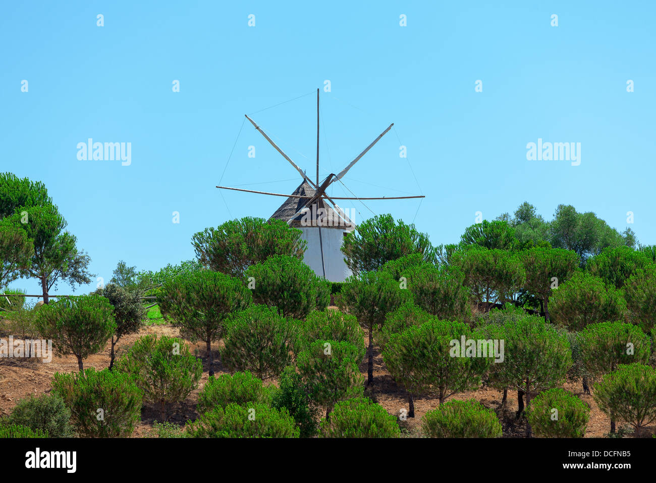 Windmill above a plantation of trees on a farm with its sails or vanes ...