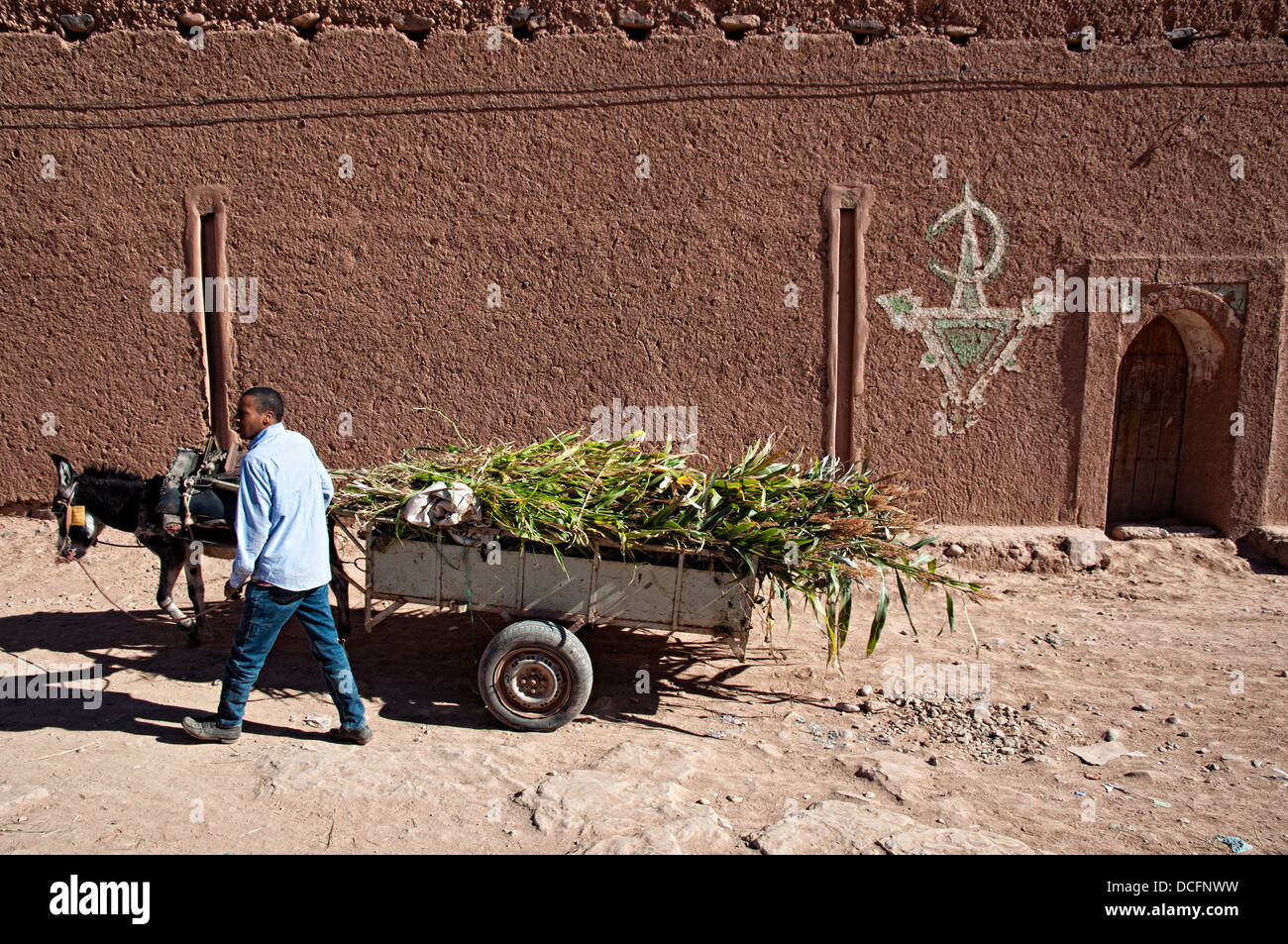 Pulling Her Donkey High Resolution Stock Photography and Images - Alamy