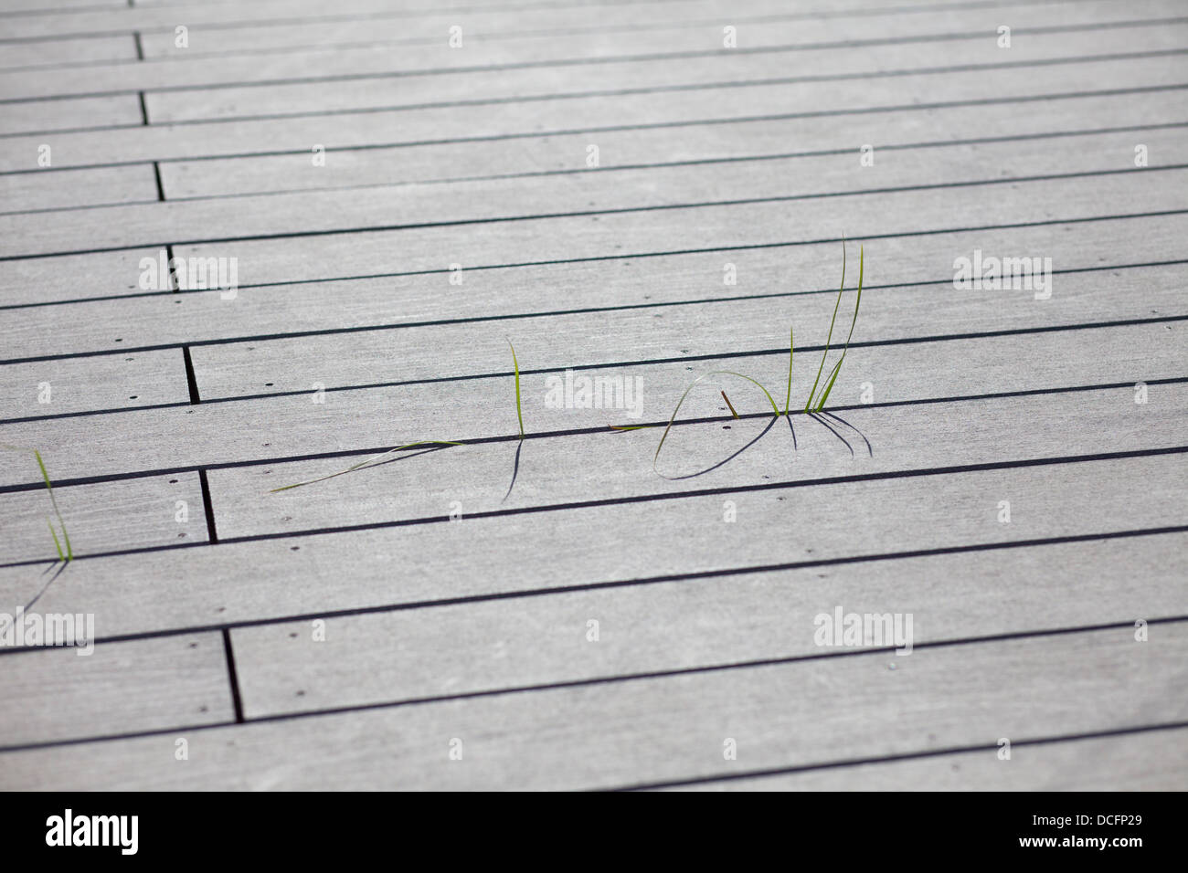 Grass boards hi-res stock photography and images - Alamy