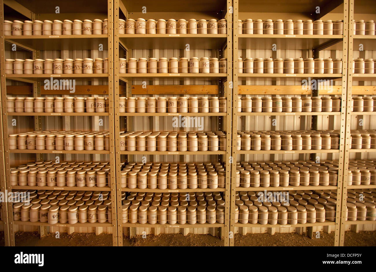 Jars Of Seed And Grain Samples On Shelves; Three Hills, Alberta, Canada ...