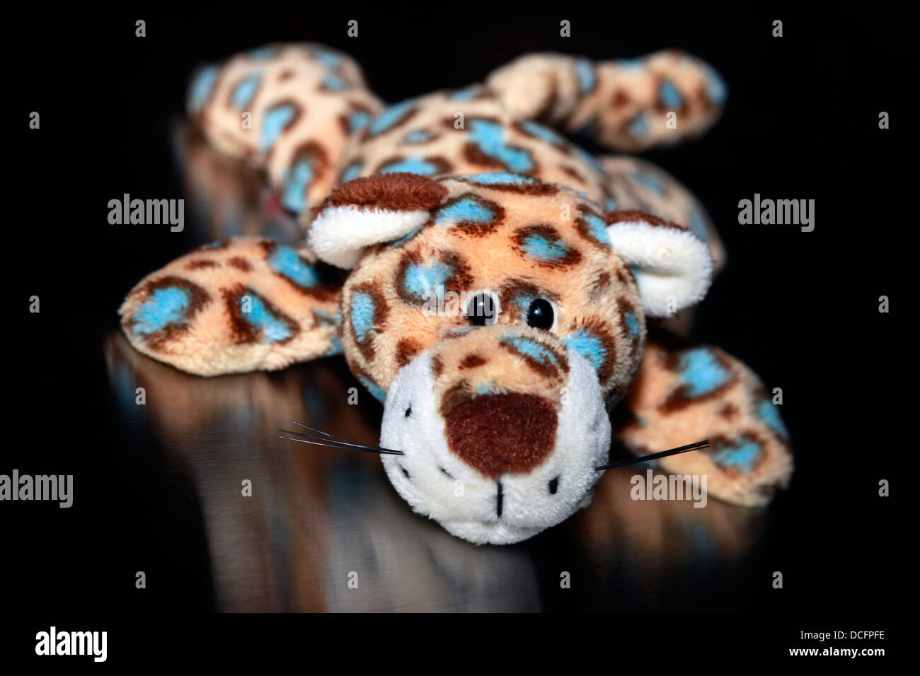 Stuffed leopard hi-res stock photography and images - Alamy