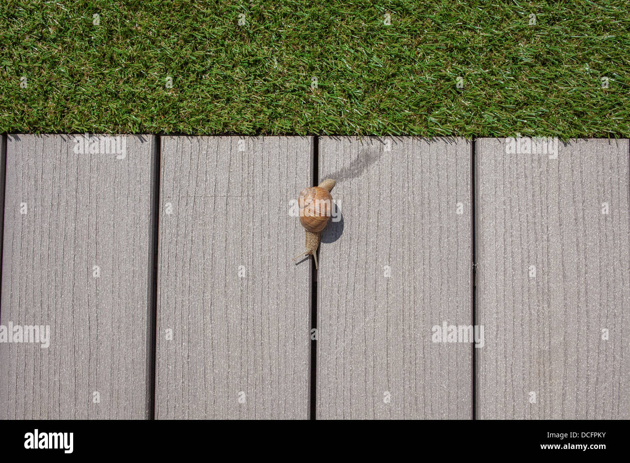 Snail trail hi-res stock photography and images - Alamy