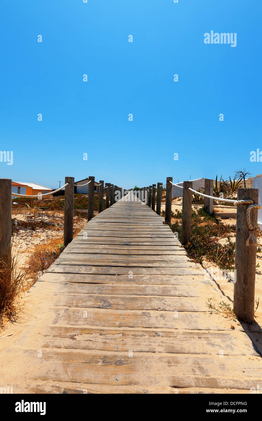 Deserted elevated wooden boardwalk protecting a fragile dune ecosystem ...
