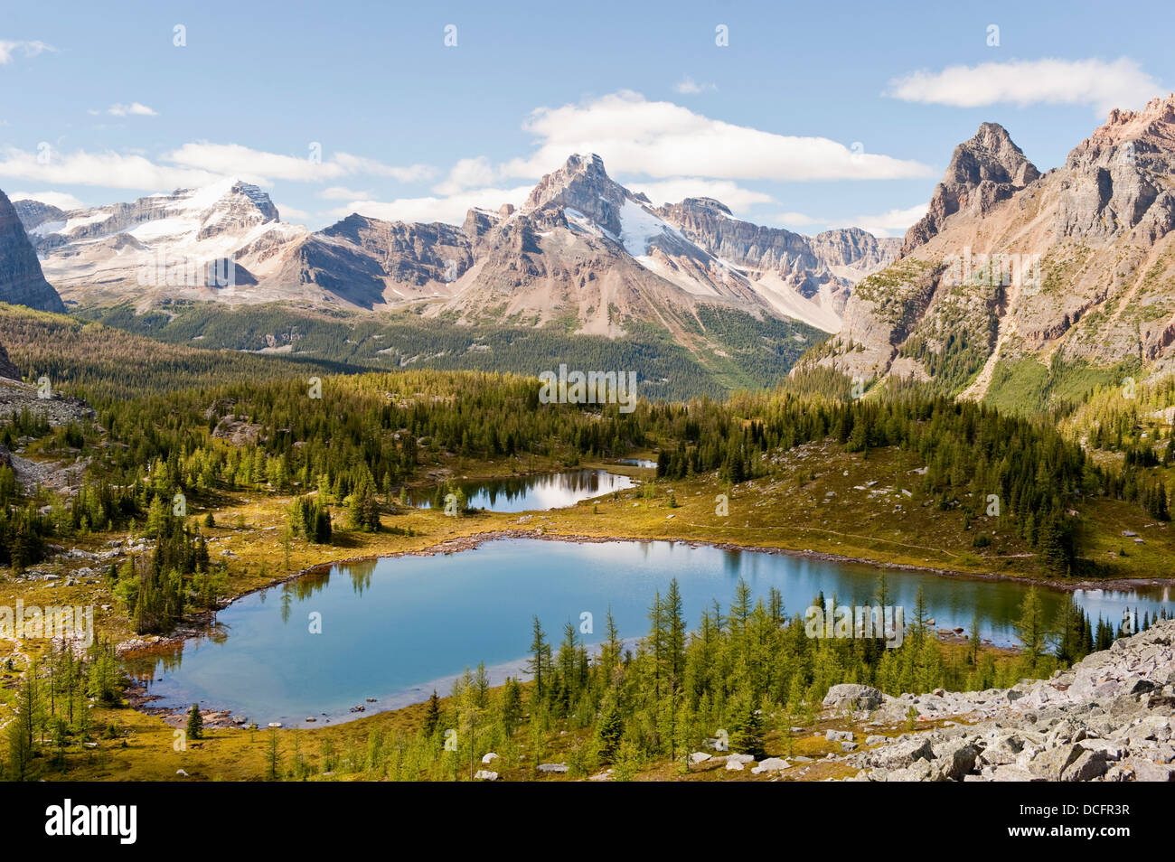 Opabin Plateau In Lake O'hara Region; Yoho National Park, British ...