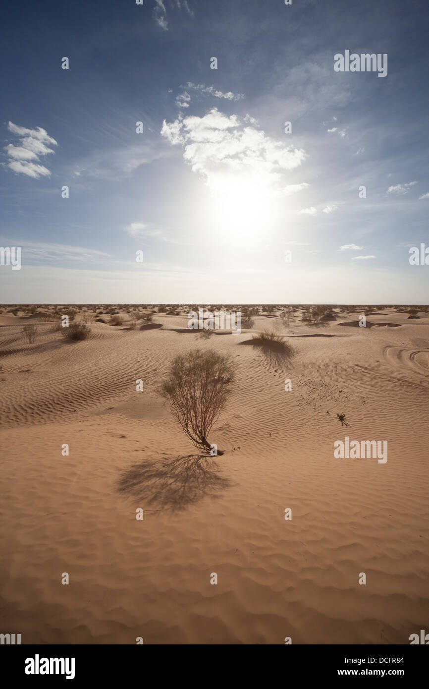 Sahara africa hi-res stock photography and images - Alamy