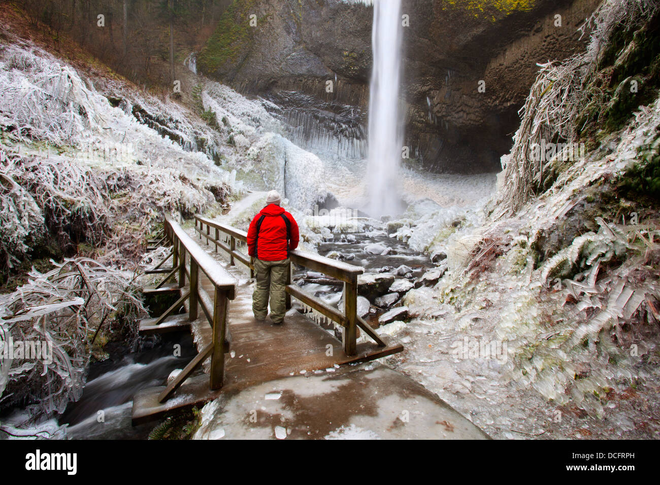 Winter Ice Storm By Latourell Falls; Columbia River Gorge, Oregon, Usa ...