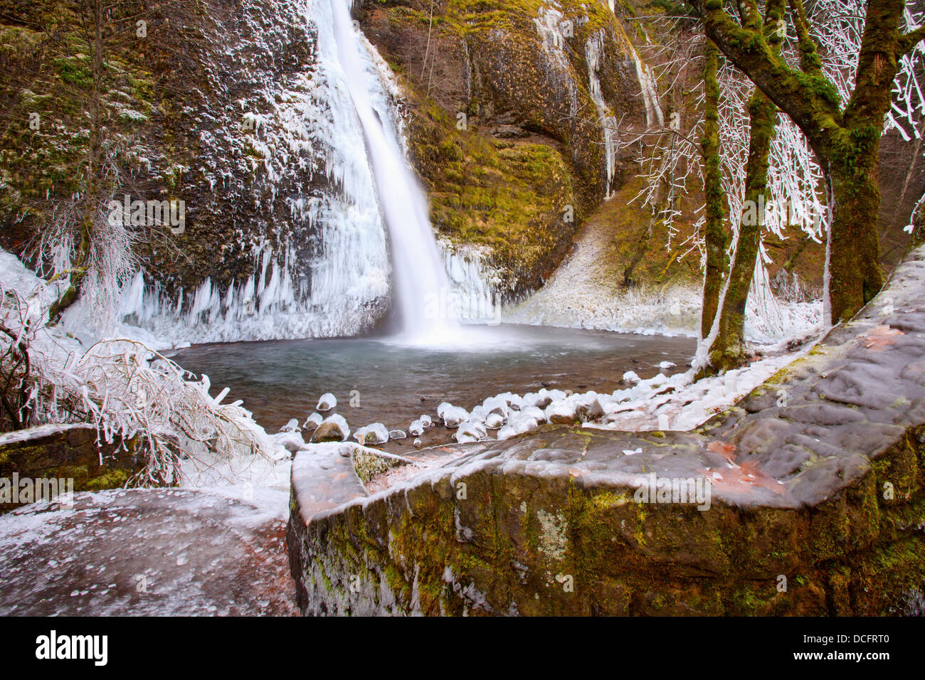 Winter Ice Storm By Latourell Falls; Columbia River Gorge, Oregon, Usa ...