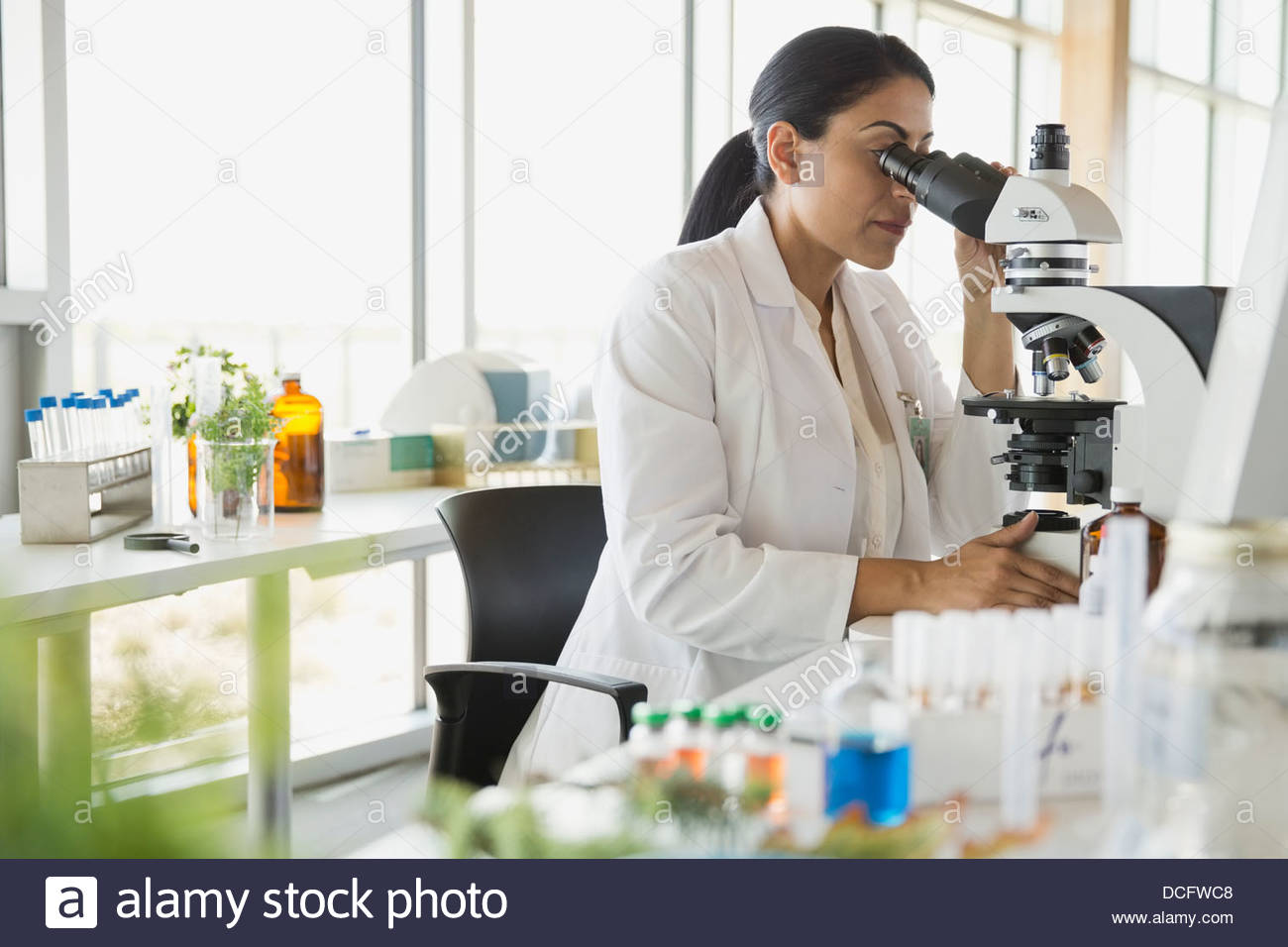 Botanist looking through microscope Stock Photo - Alamy