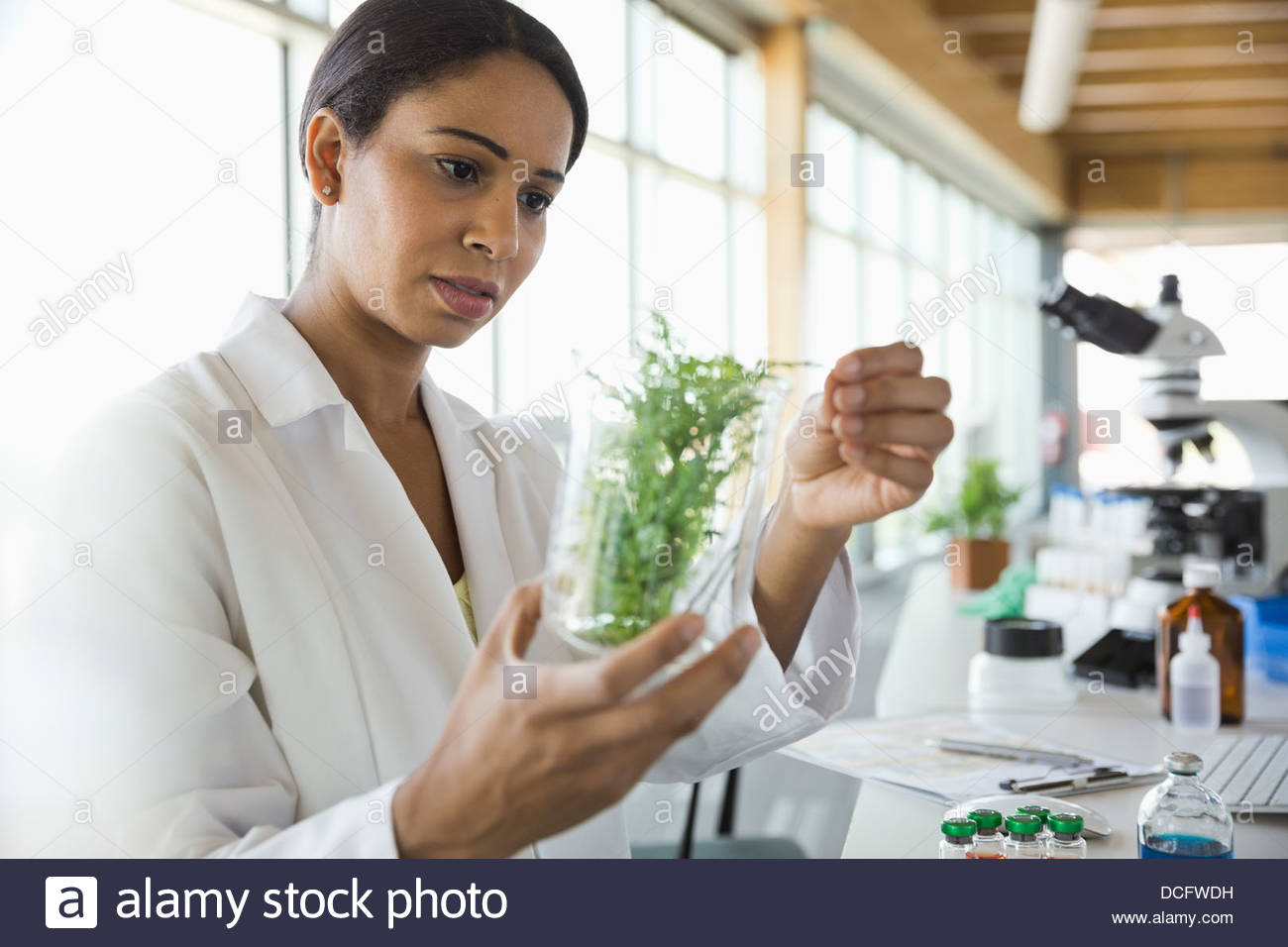 Plant Science Stock Photos & Plant Science Stock Images - Alamy