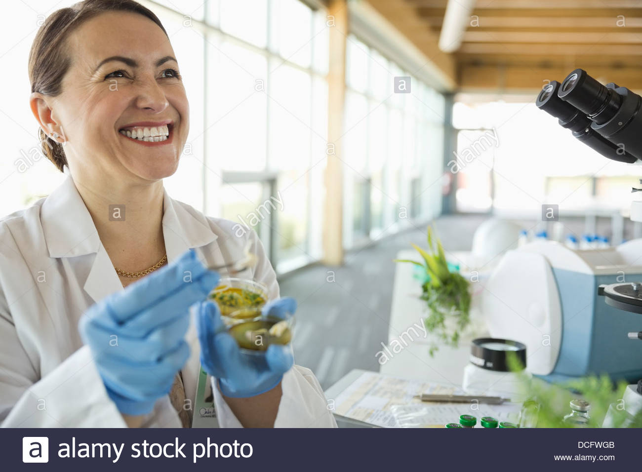 Botanist laboratory hi-res stock photography and images - Alamy