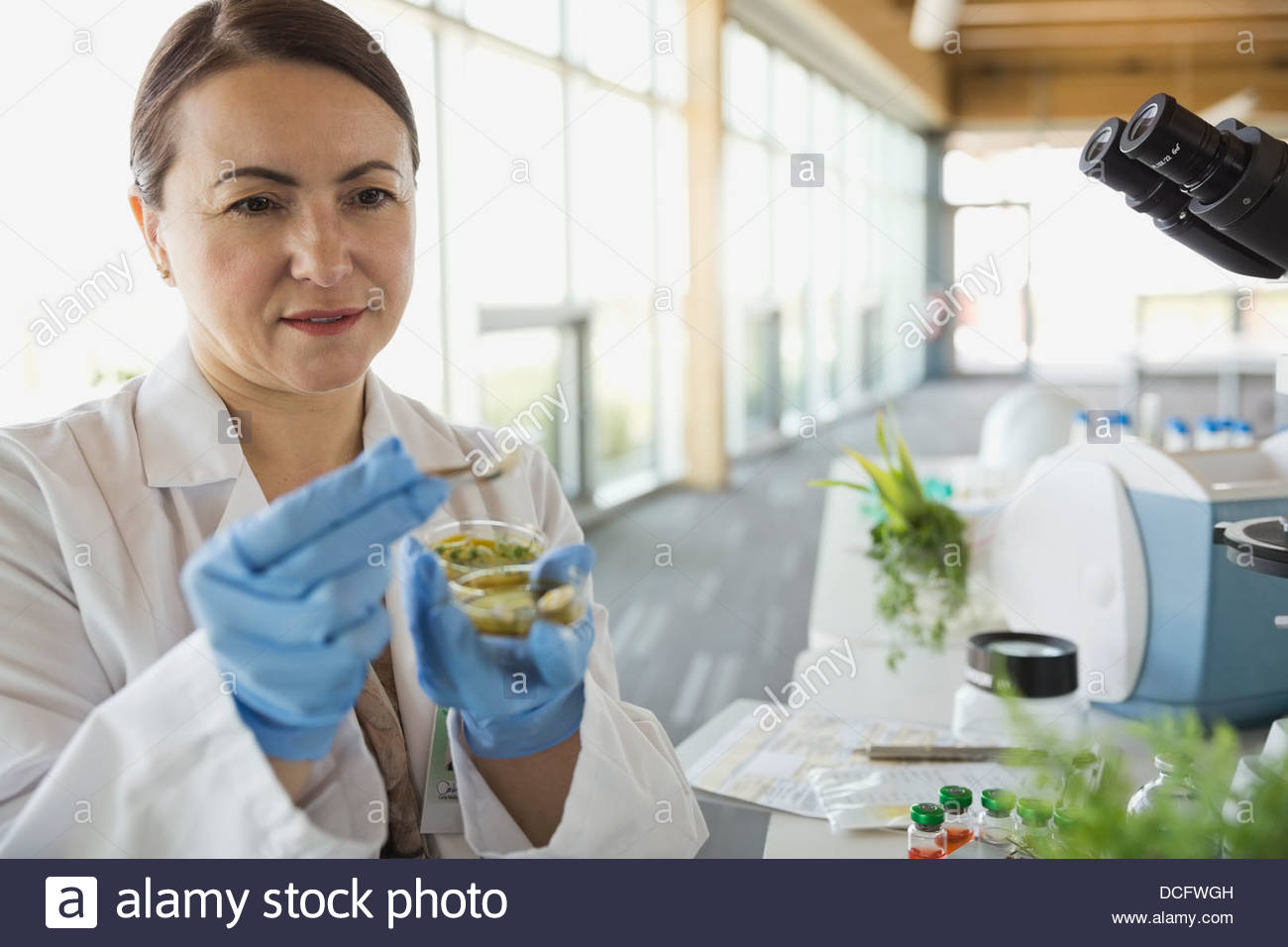 Botanist laboratory hi-res stock photography and images - Alamy