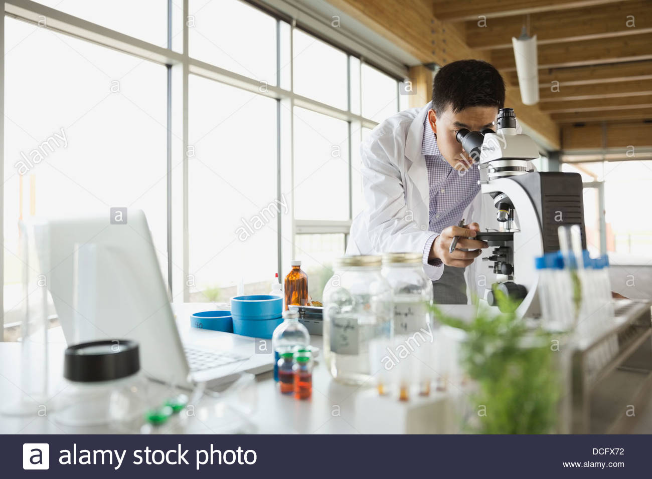 Botanist looking through microscope Stock Photo - Alamy