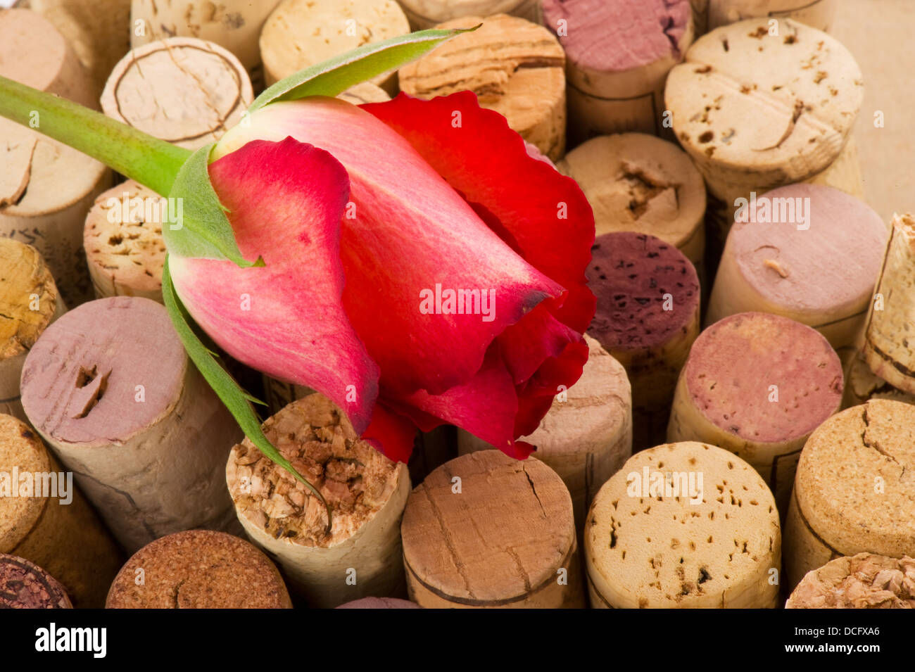 cork from bottles with rose Stock Photo - Alamy