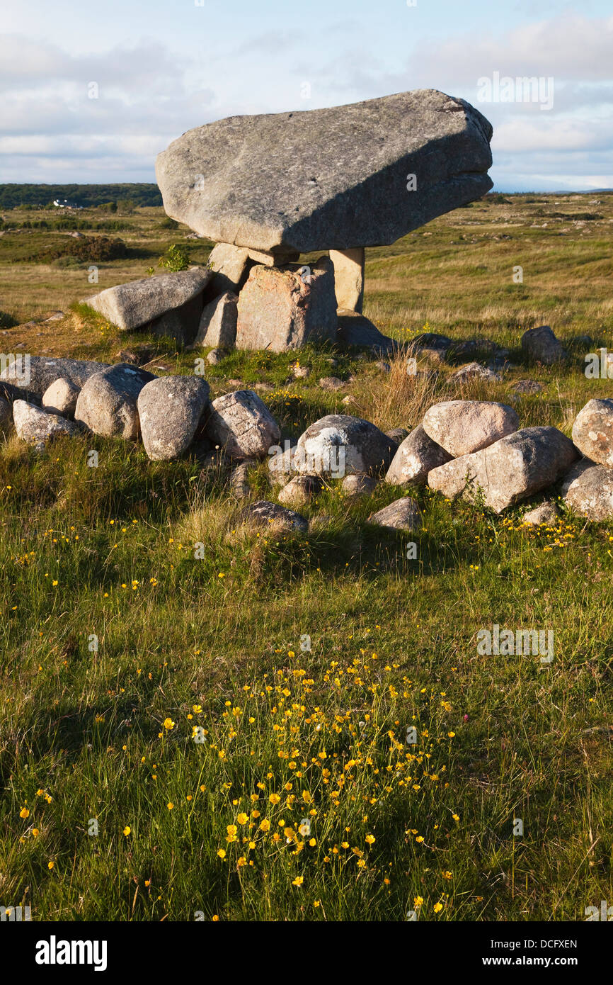 Ancient Dolmen Megalithic Tomb; Ardara, County Donegal, Ireland Stock ...