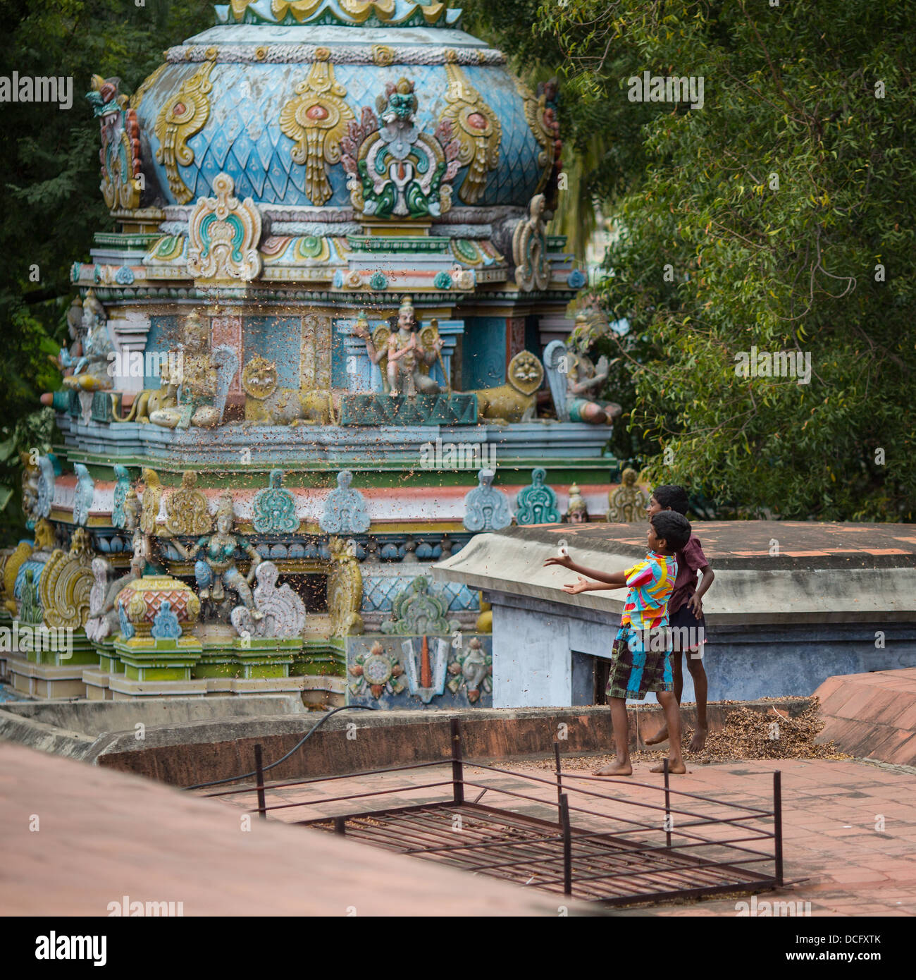 Indian boys play on the roof of the temple Stock Photo - Alamy