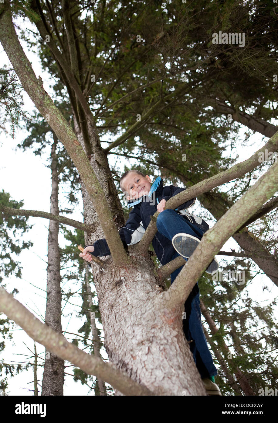 Young Boy Climbing a tree Stock Photo - Alamy