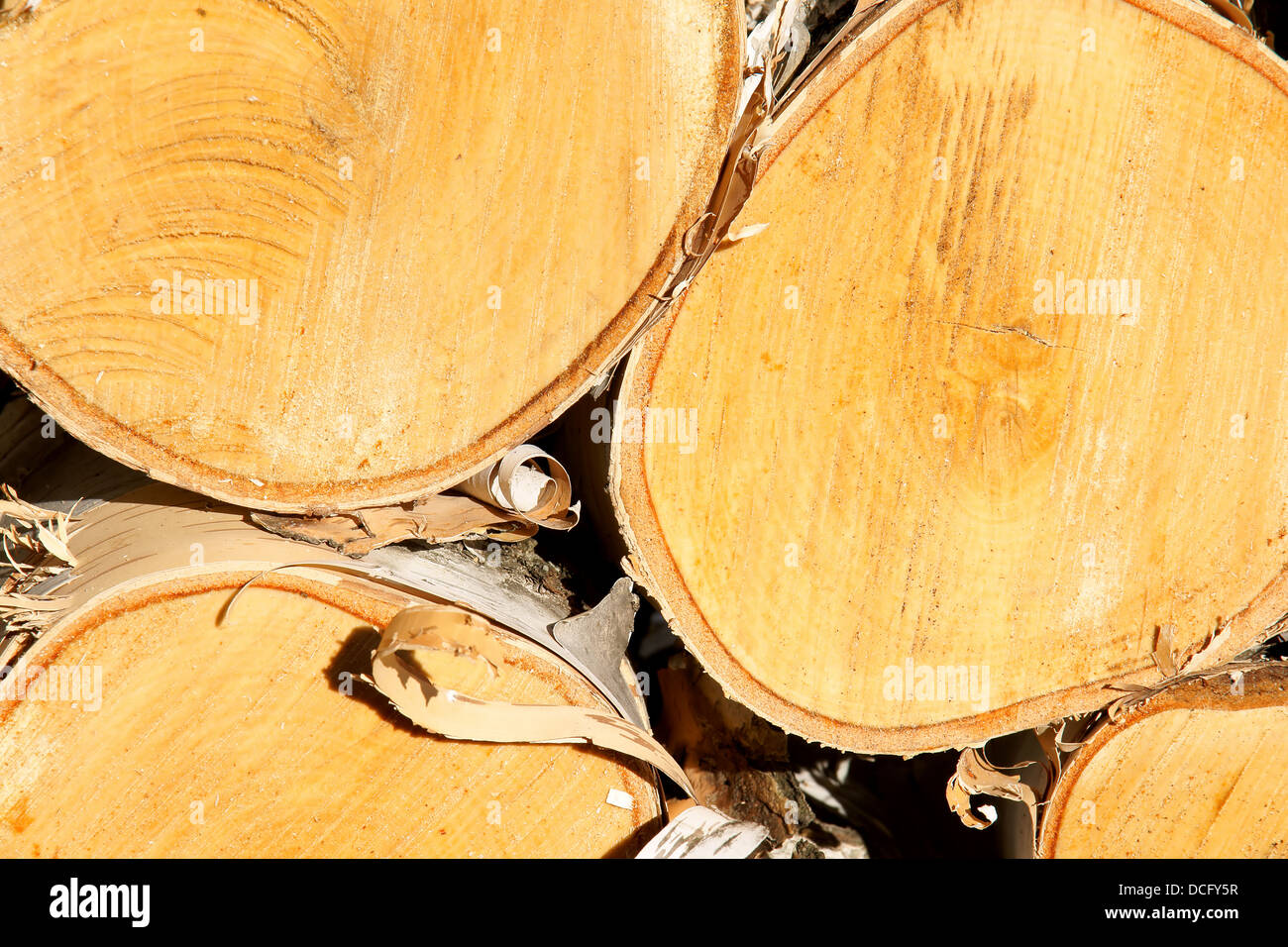 Wood pile close-up Stock Photo - Alamy